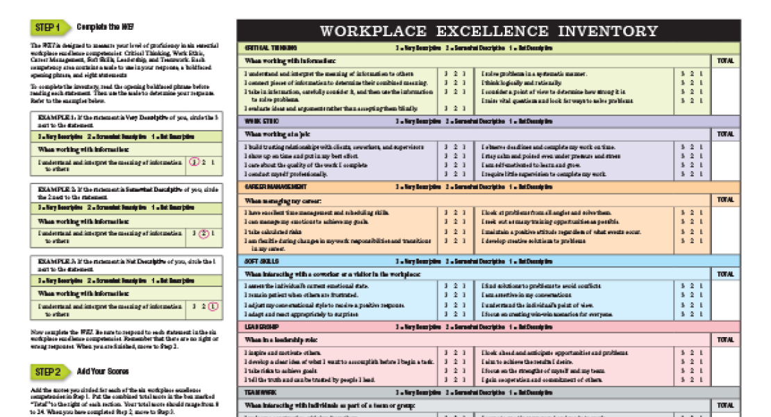Workplace Excellence Inventory | Paradigm Education